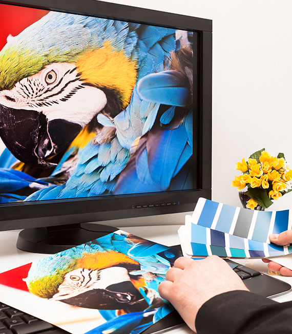 About us | PRINTZONE